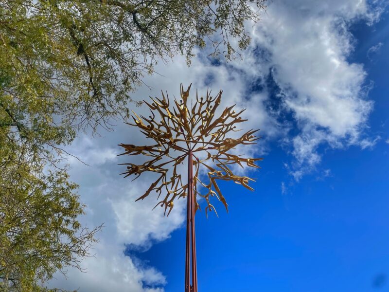 Our Story – Horizon Foundation